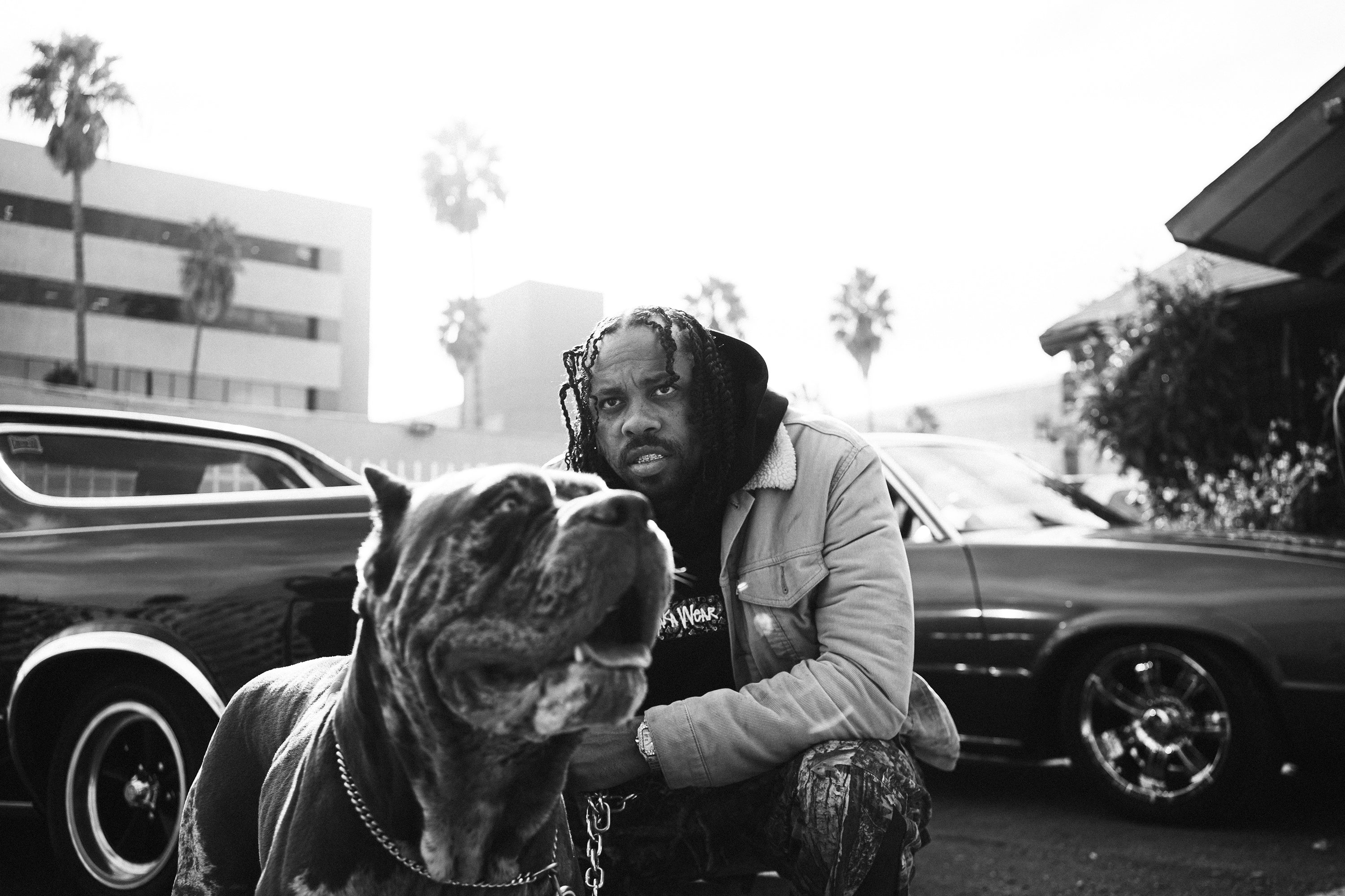 Shaka Wears 2025 New Year Plan – Shakawear.com